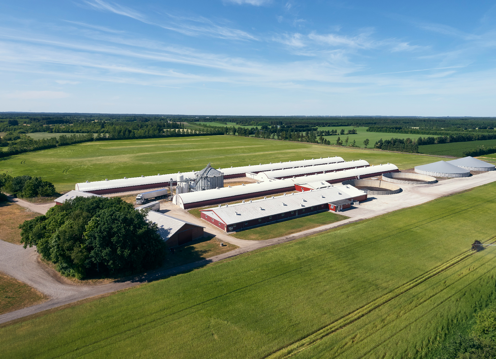 Home | Tican Fresh Meat A/S