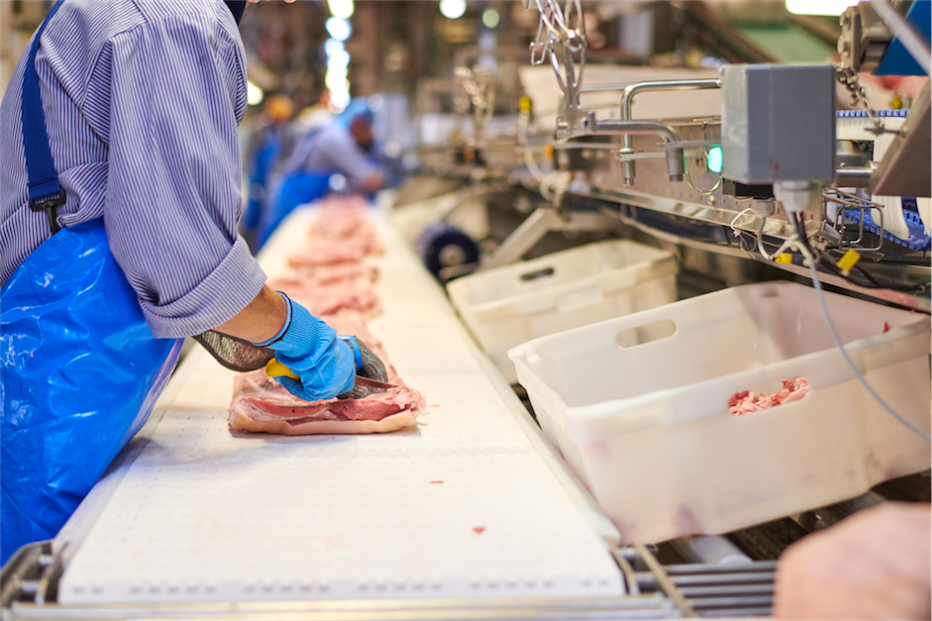 Tican - aktuel status og udsigter | Tican Fresh Meat A/S